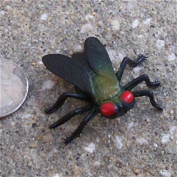 Found in Southern Indiana. Any ideas? : r/whatsthisbug