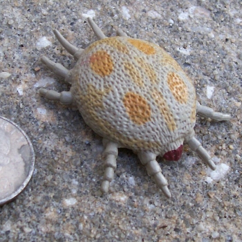 Rubber lice, fleas, ticks and mites