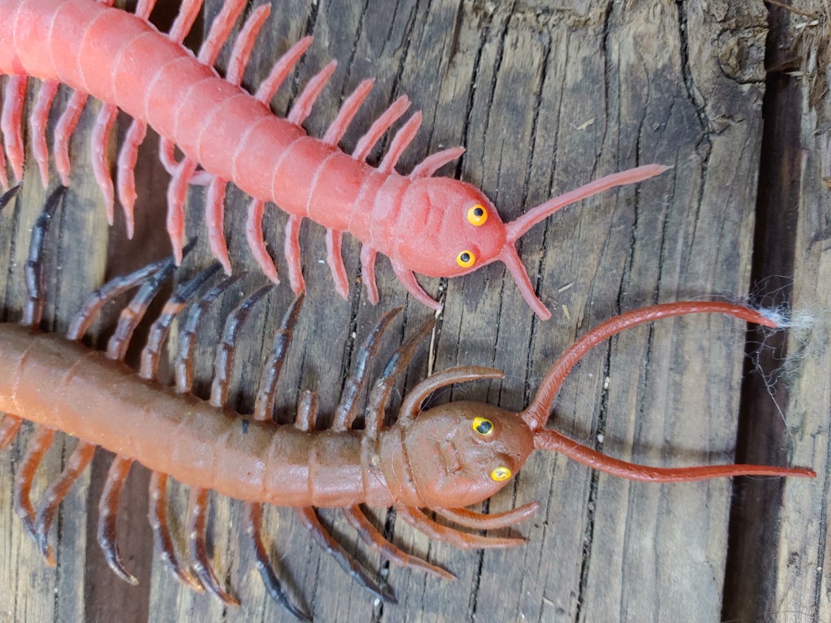 Bogleech Halloween 2024: Valuable Vintage Bugs