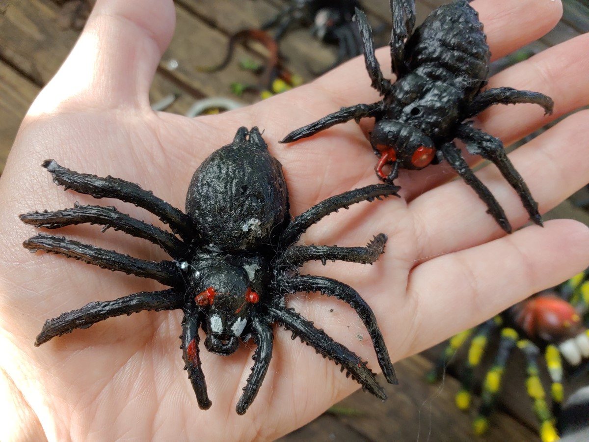 Bogleech Halloween 2024: Valuable Vintage Bugs