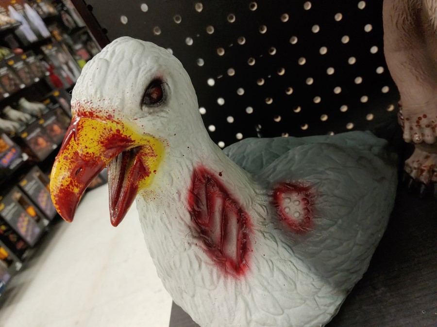 Halloween 2024: Mid-September Spooky Sightings