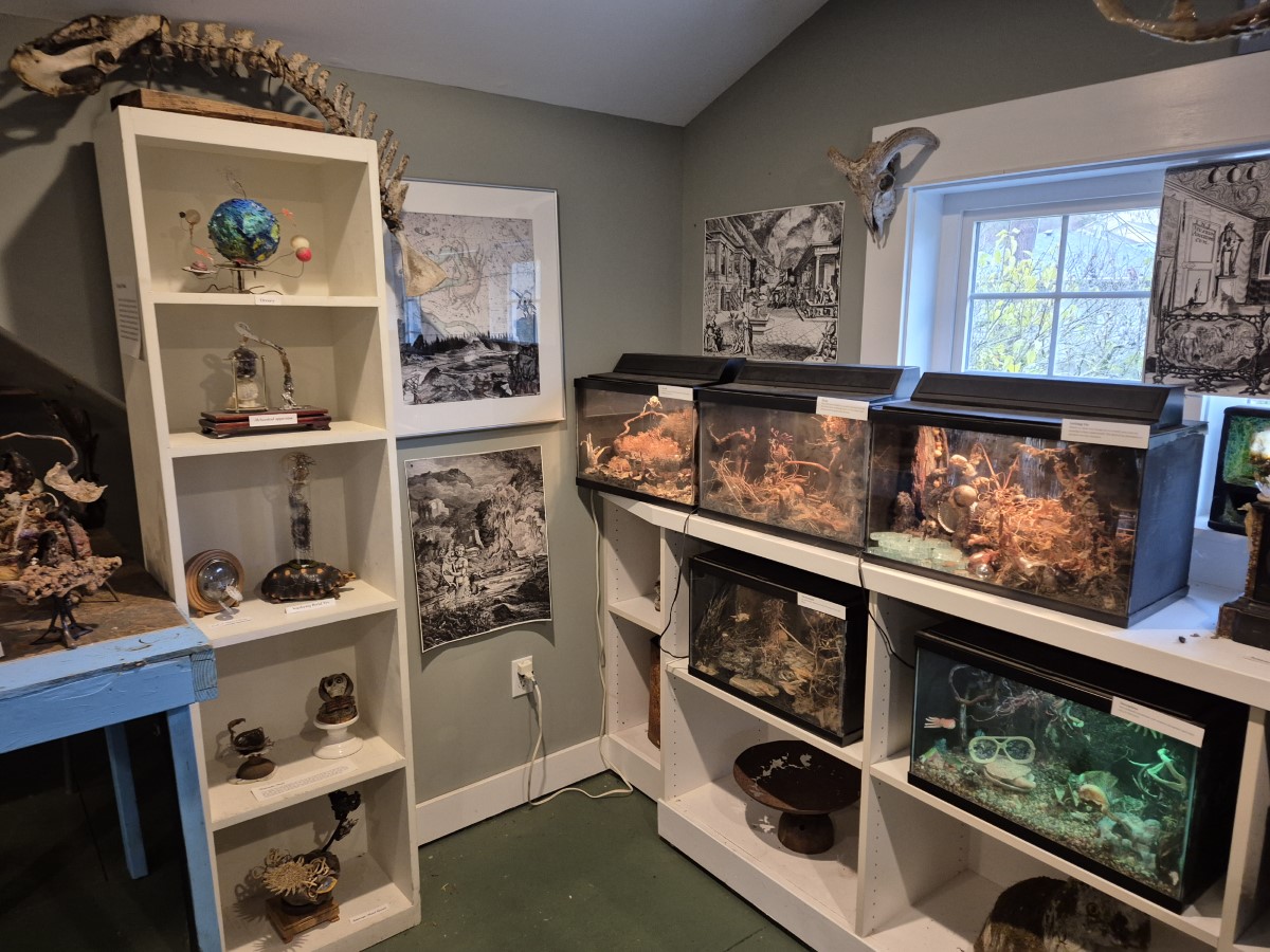 Halloween 2024: The Zymoglyphic Museum