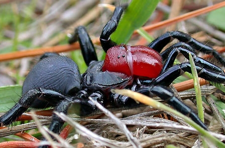 FARK.com: (6243782) Nuclear power plant in the heart of "Tornado Alley ...